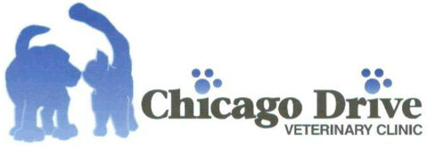 History Form | Chicago Drive Veterinary Clinic